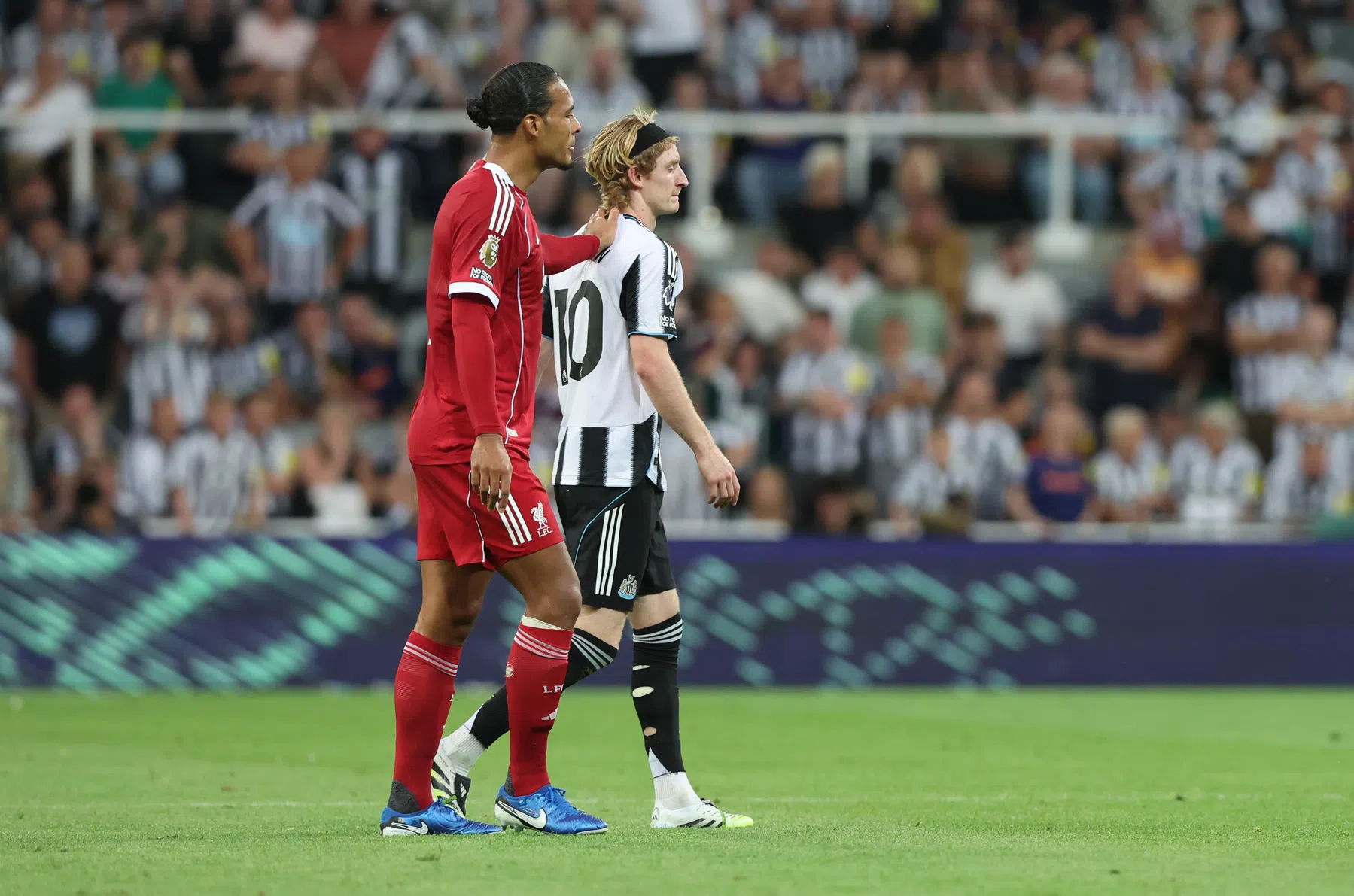 Gordon biedt Van Dijk excuses aan na rode kaart en wordt malloot genoemd